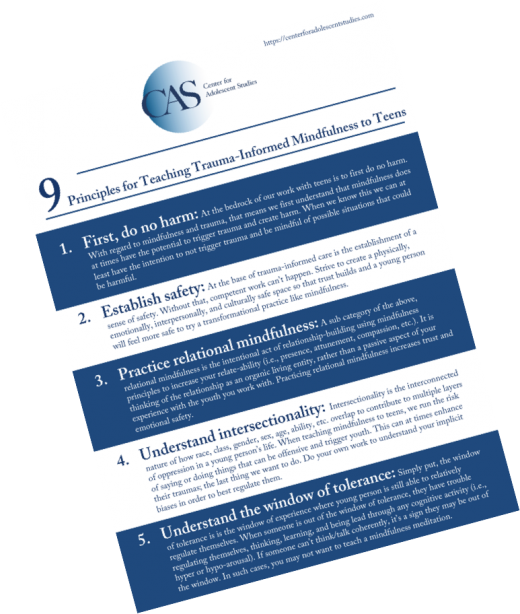 9principles | Center for Adolescent Studies