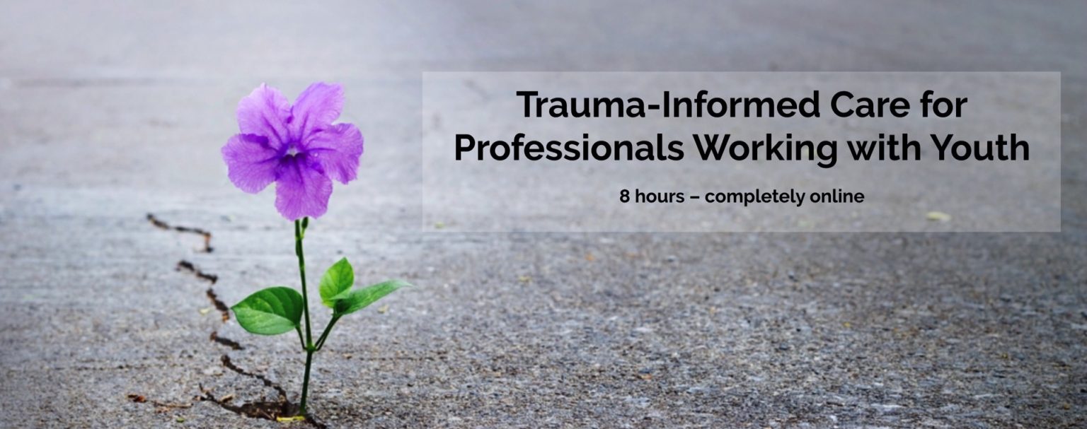 Center for Adolescent Studies – Competent Training for Professionals ...